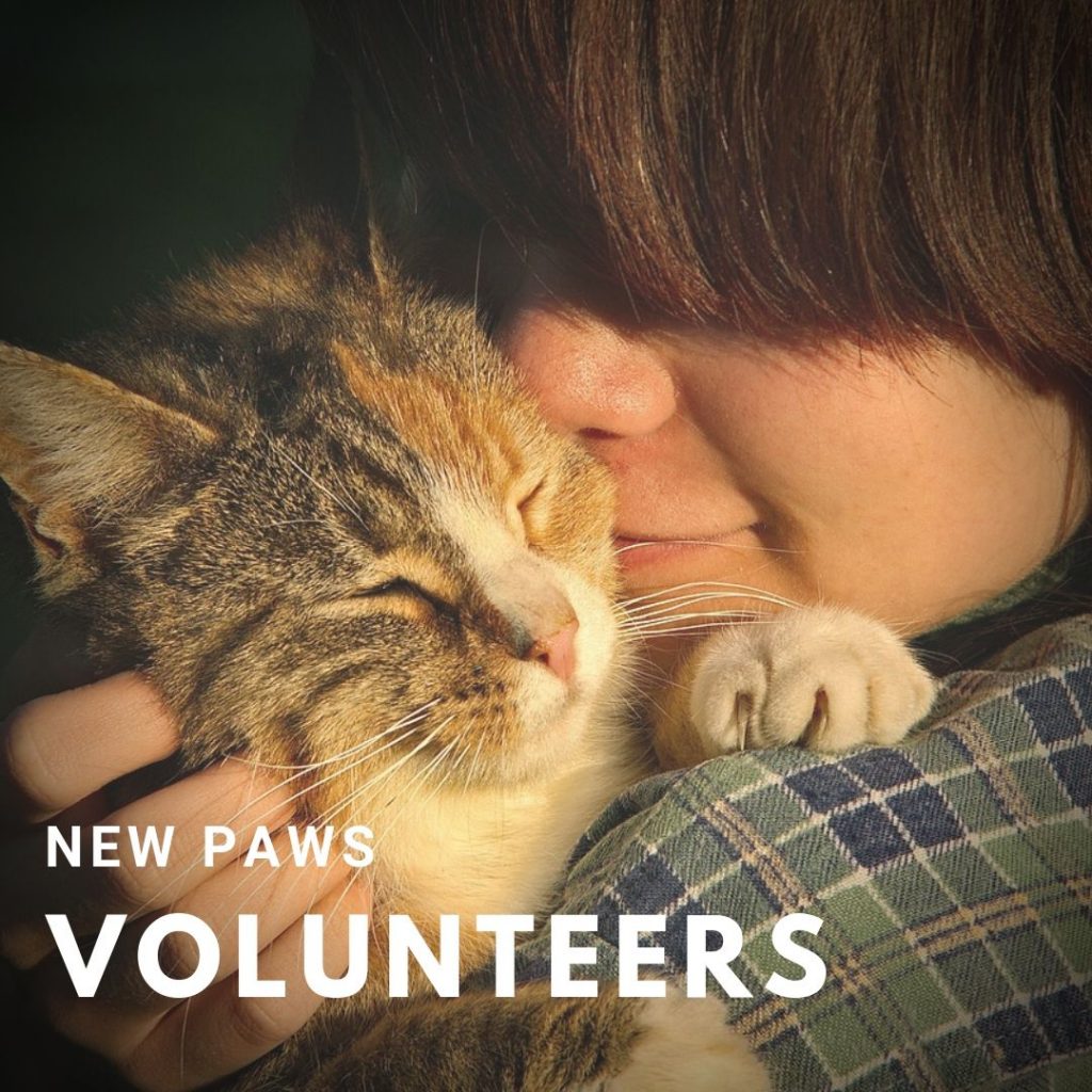 PAWS Welcomes New Volunteers - Portneuf Animal Welfare Society (PAWS)